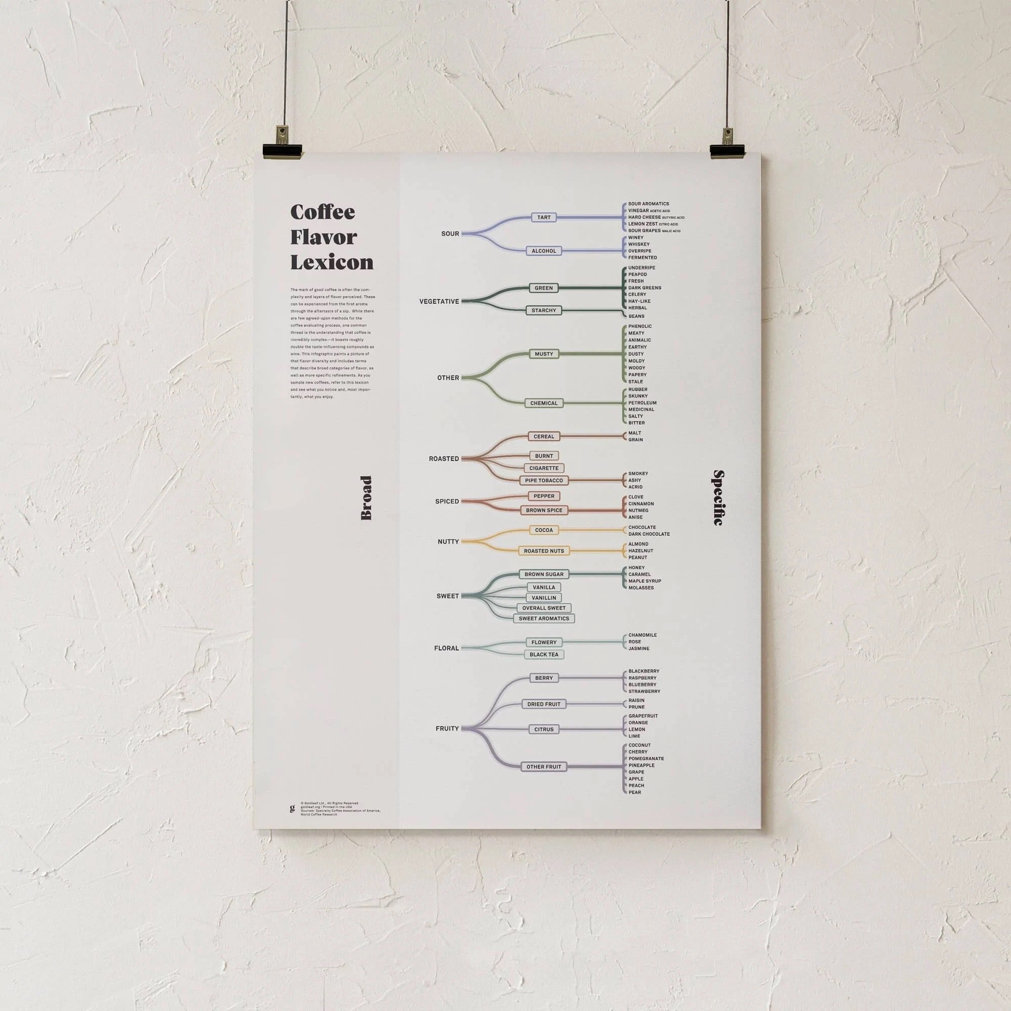 Coffee Flavor Lexicon Print | ChadLou's Coffee Roasters